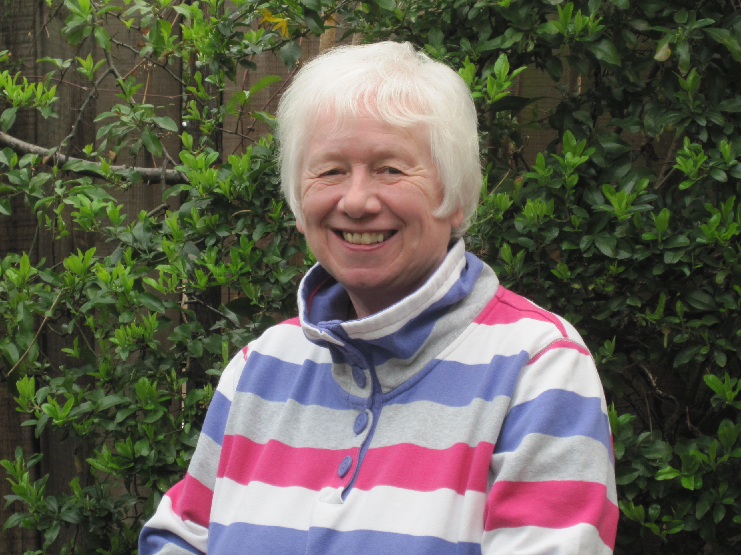 Doreen Hinchliffe – Blossom Spring Publishing