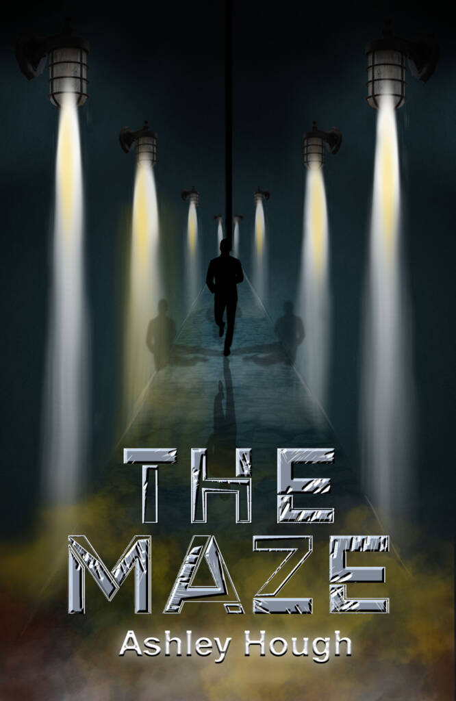 The Maze Blossom Spring Publishing
