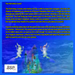 The Fish King and the Two Wise Ghosts – Blossom Spring Publishing