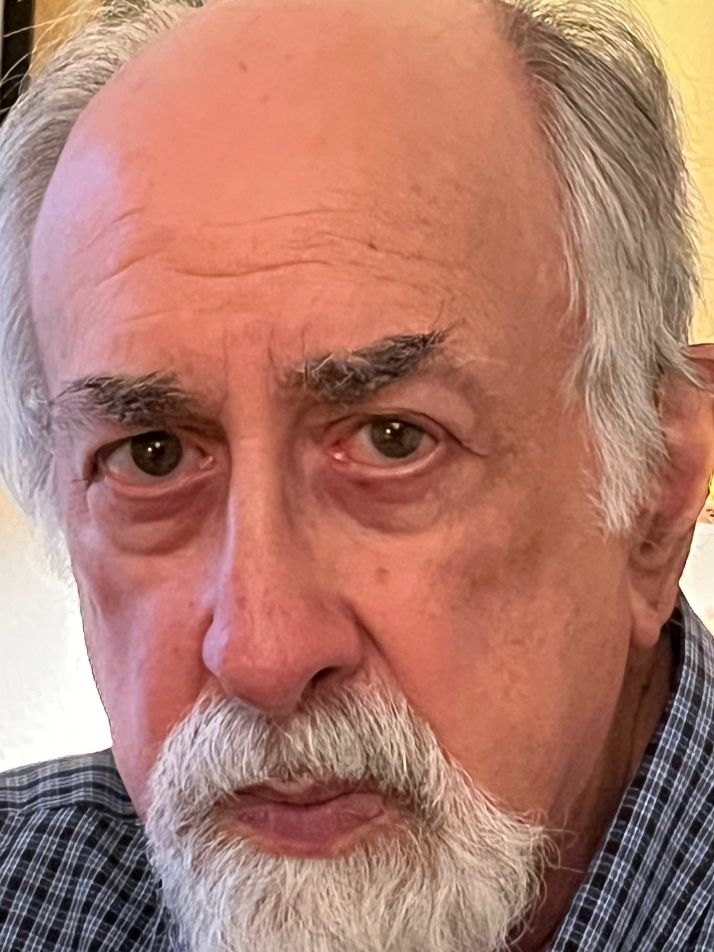 Dr. Milton Cohen – Blossom Spring Publishing